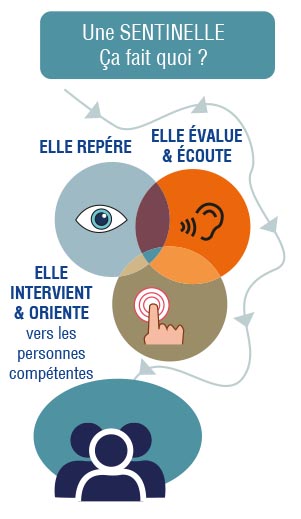 MSA - Les sentinelles - MSA Portes de Bretagne